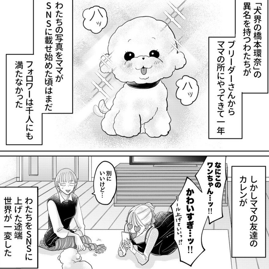 【画像・写真】 | 整形中毒、インスタ離婚、沼らせ男子…漫画『あなたの♡がなくても―SNSの天国と地獄―』の1巻で暴かれる【SNSのリアル】とは？ | arweb（アールウェブ） | 大好きな ...