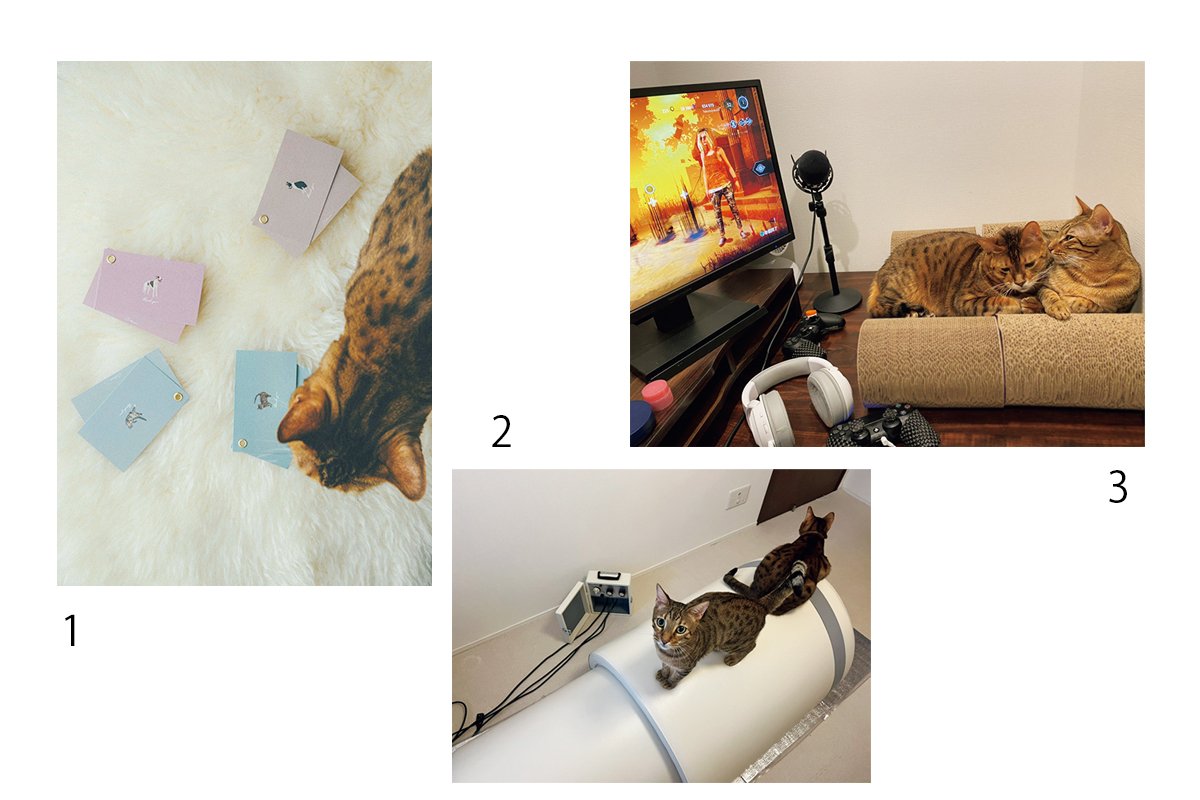 だから彼女は輝ける♡ 多忙な3人のOFFスイッチとは？【峯岸みなみ／宮田聡子／宇垣美里】 | arweb（アールウェブ）